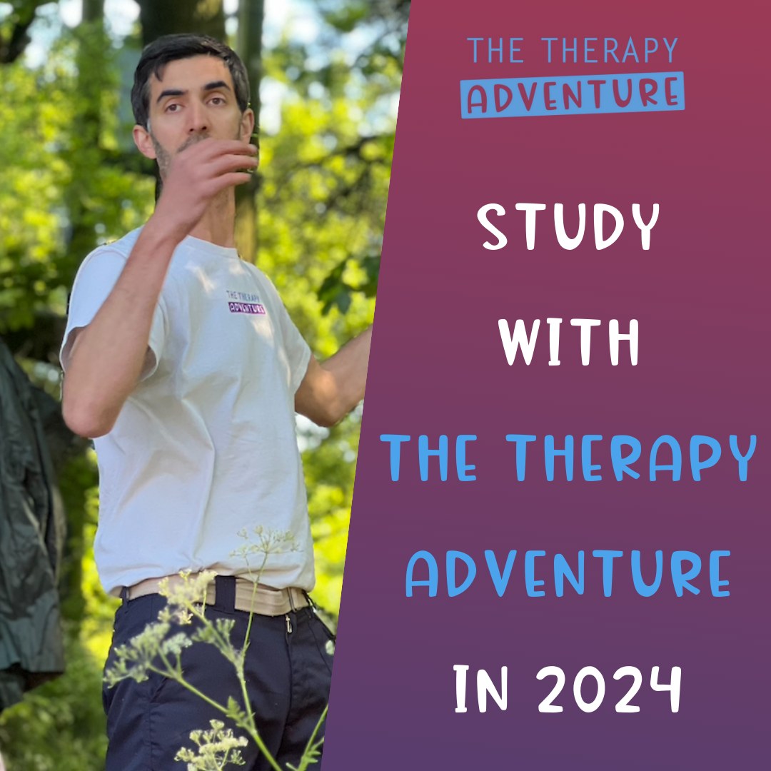 The Therapy Adventure